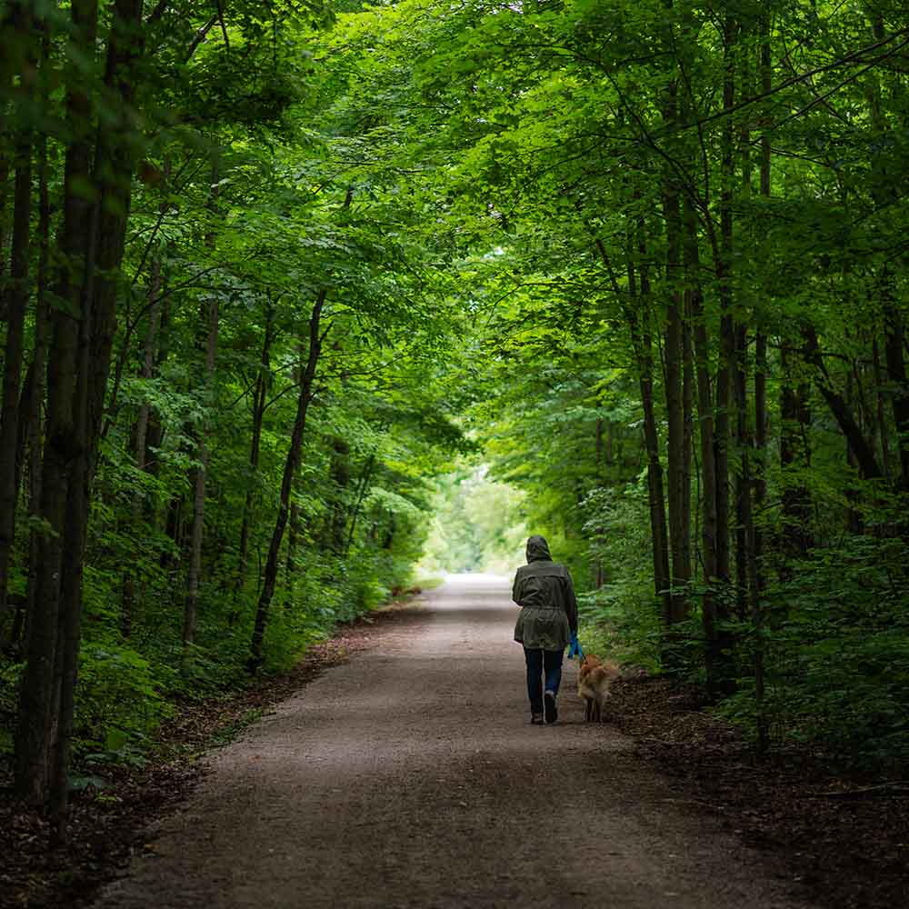 Top 6 Places to Hike – GlowHound
